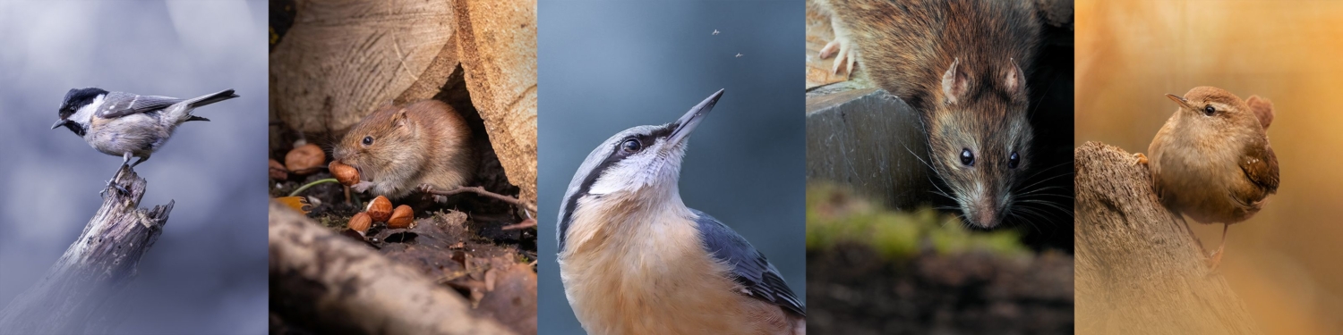 Partners and Discounts - Pond & Perch