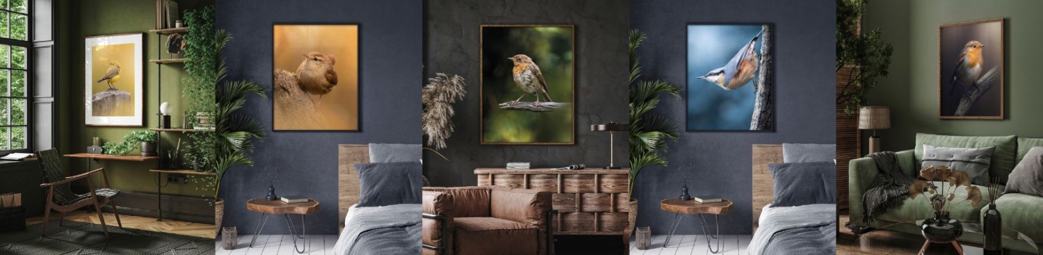 Pond & Perch Wildlife Hides - Pond & Perch